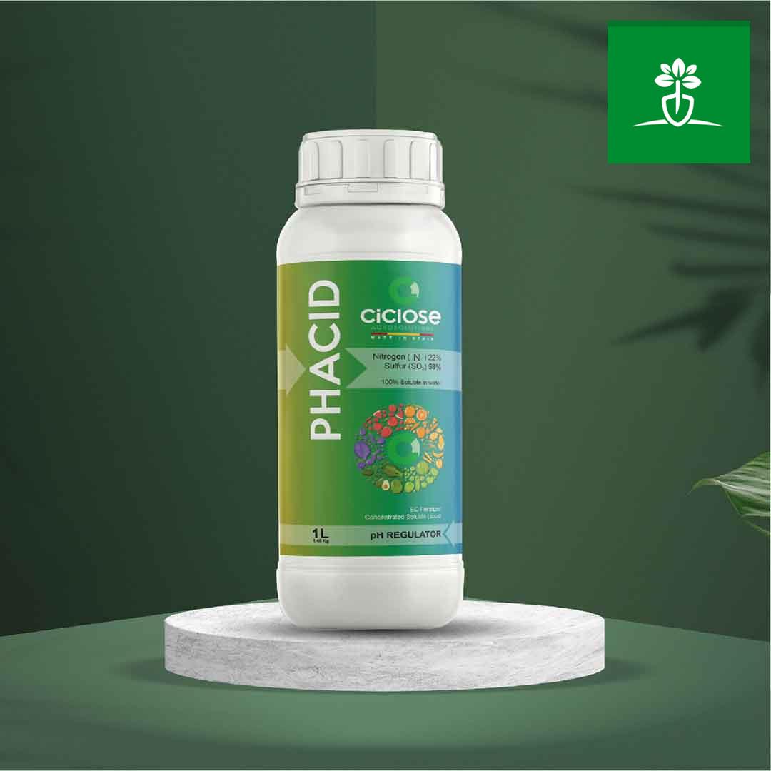 کود مایع فاسید PHACID سیکلوز اسپانیا | خرید، برسی | دیار کشت